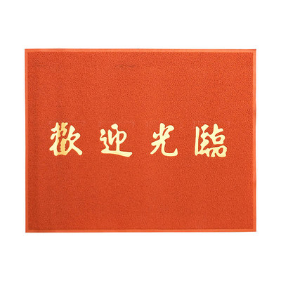 3m朗美地垫6050丝圈垫电梯可定制