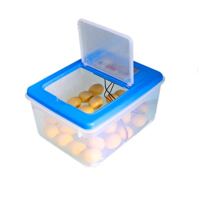 孵化机全自动小型家用型32枚水床孵化器鸡鸭鹅蛋智能孵蛋器包邮