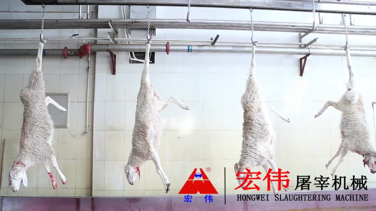 Factory-direct Supply Sheep Slaughtering Equipment For Turnkey Sheep ...