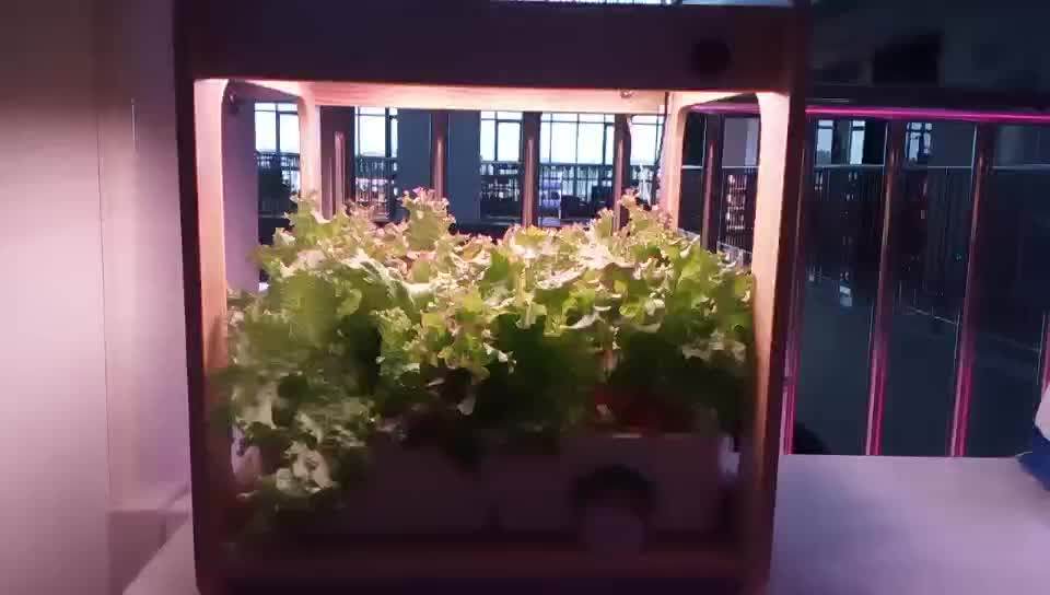 2018 Wooden Material Mini Hydroponics Box Farming System Hydroponic ...