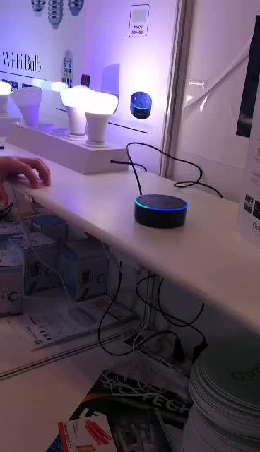 Smart Voice Led Command Control 24w Led Ceiling Light With Audio ...