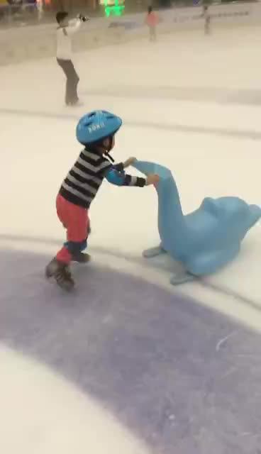 Wholesale Custom Electronic Flashing Light Dolphin Voice Kids Ice Rink ...