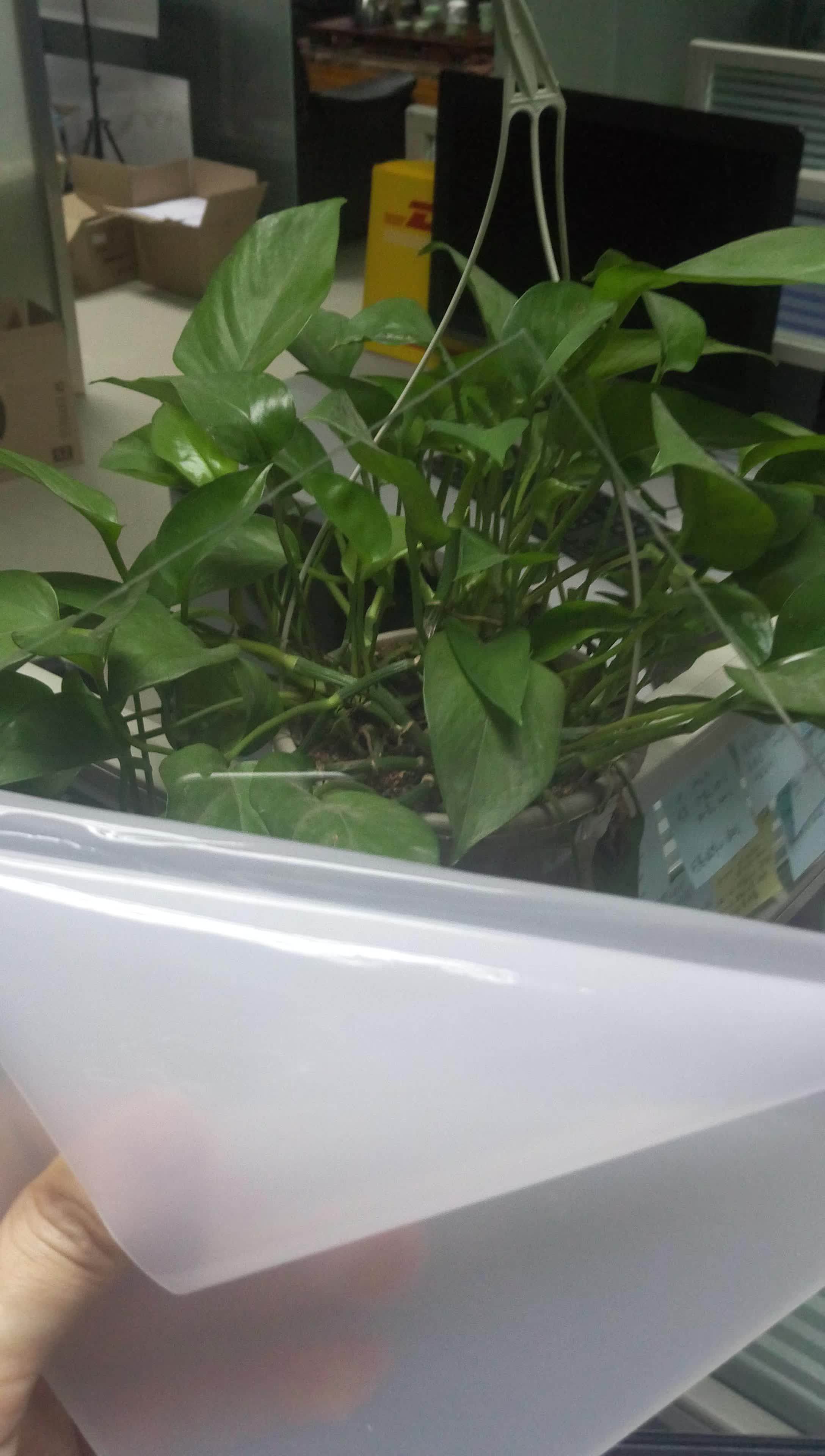 Polymethyl Methacrylate Plates Clear Acrylic Plastic Sheet Transparent ...