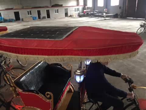 New Asia Auto Rickshaw Price In Pakistan Electric Solar Rickshaw - Buy ...