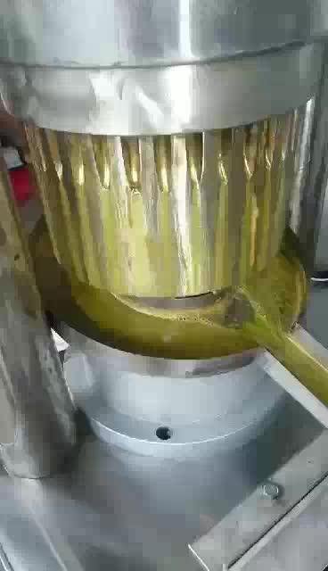 Ce Hydraulic Hand Operated Oil Expeller/hand Crank Oil Press Machine ...