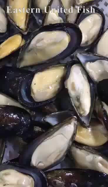 China Origin Seafood Frozen Cooked Blue Mussel Meat - Buy Mussel Meat ...