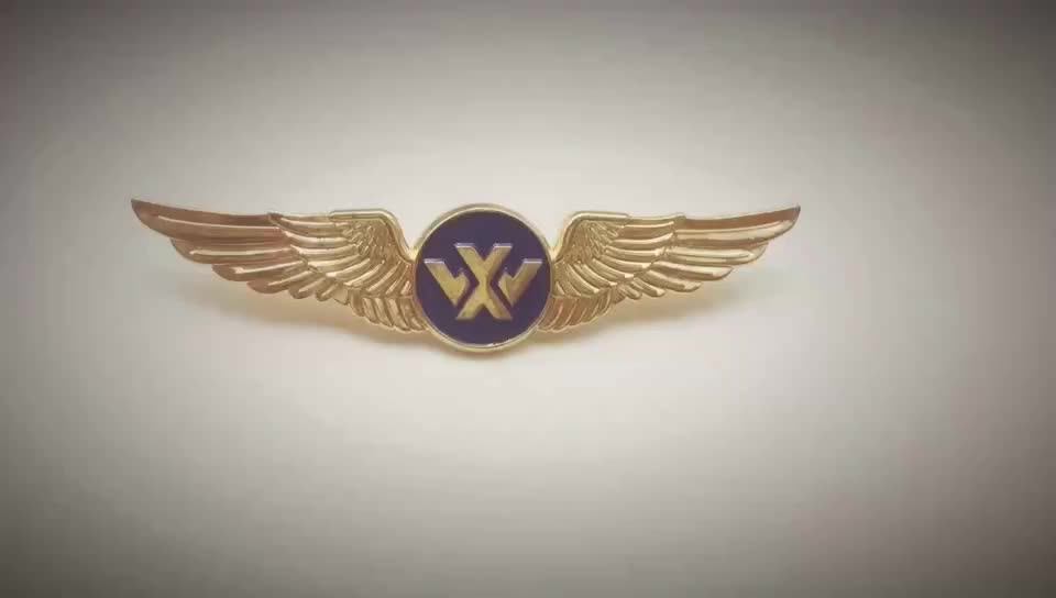 Airline Pilot Wings Badge Pin, Magnetic Flight -Alibaba.com