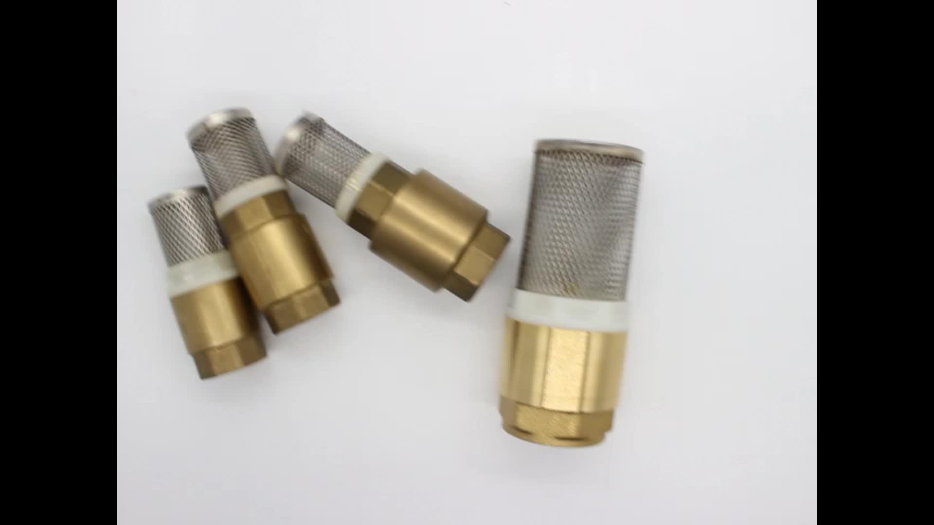 Green-gutentop Female Threaded Check Valve Stainless Steel Filter Mesh ...