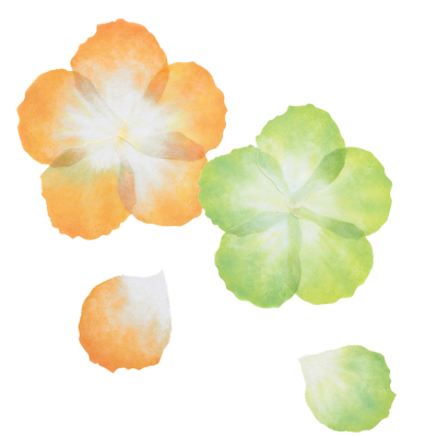 日本进口纯色和纸胶带