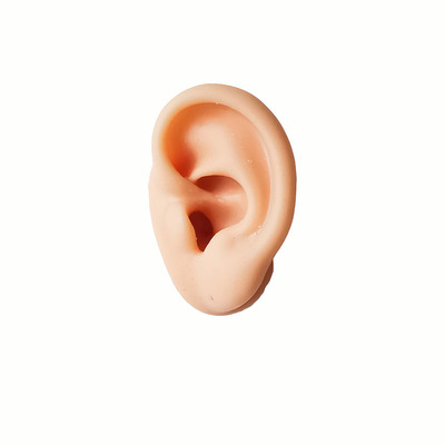 硅胶asmr耳朵模型摸耳朵助眠采耳耳钉耳机展示道具仿真人耳模型