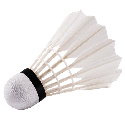 包邮正品羽毛球12只装训练用球