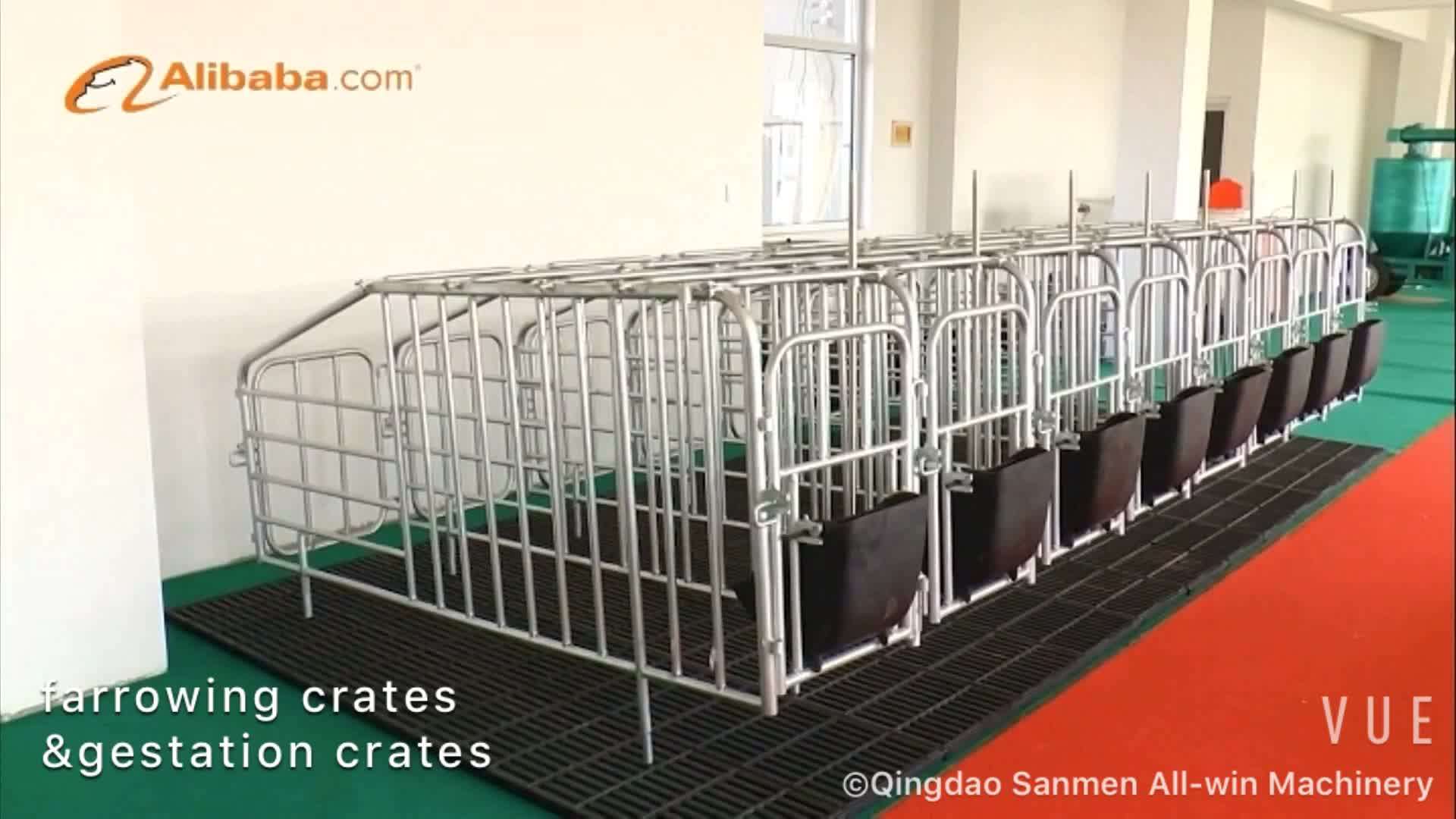 Pig Equipment Sow Gestation Crates For Individual Pig - Buy Gestation ...