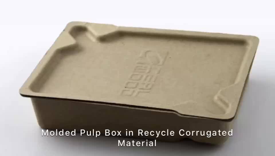 Molded Paper Pulp Recyclable Packaging Box - Buy Recyclable Packaging ...