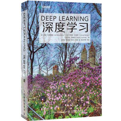 【图灵奖得主作品】深度学习领域奠基作品deep learning花书中文版AI教材书籍神经网络框架算法方法系 程机器学习人工智能教程