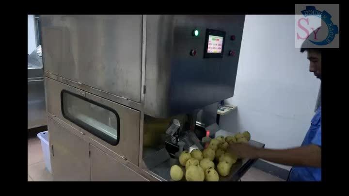 High Performance Profession Avocado Peeling Machine/medium Fruit Pitter ...