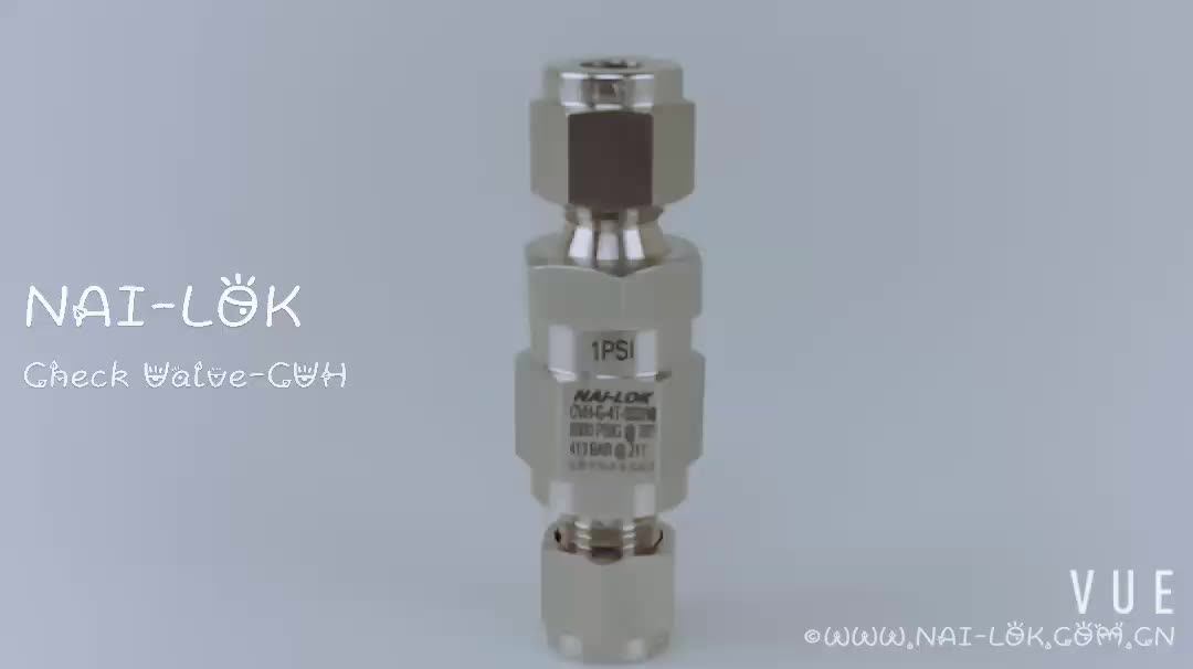 High Pressure Compact Check Valves With Ss316 From China Supplier - Buy ...