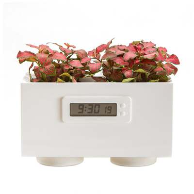 植物发电时钟无需电池科学玩具