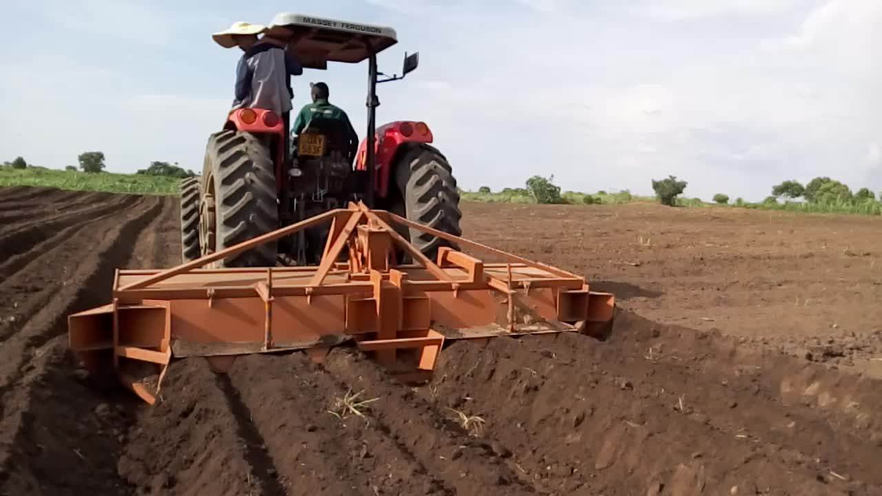 High Evaluation Cassava Planter/cassava Planting Machine/cassava Seeder ...