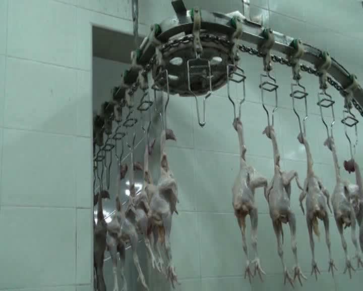 Screw Pre-chilling Machine/chicken Water Chiller Equipment/spin Chiller ...