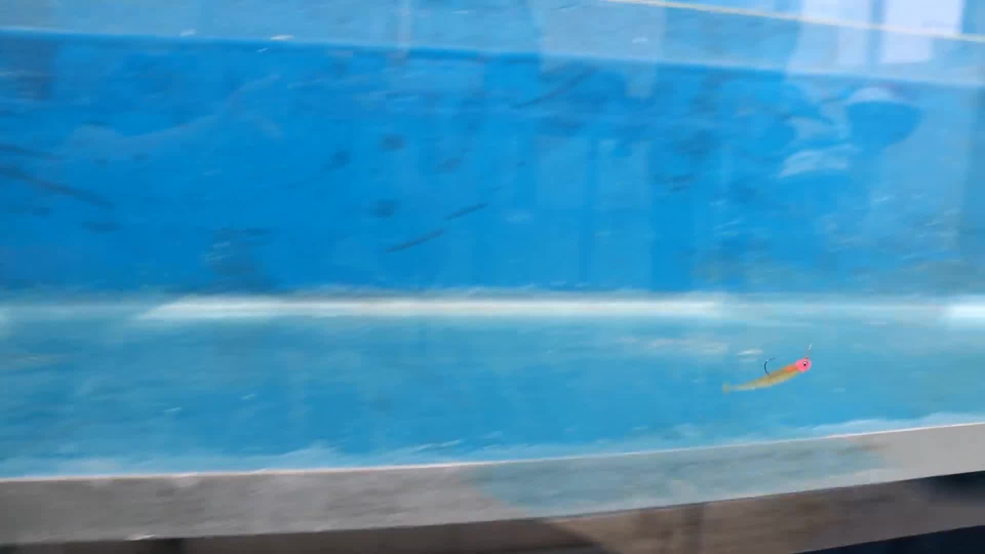 Baars Vissen Lokken Op 5 Soorten Size 20 Kleuren Zacht Aas Caroliner ...