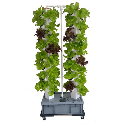 nft无土栽培蔬菜草莓管道水培