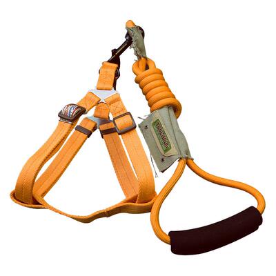 Touchdog宠物牵引绳狗外出