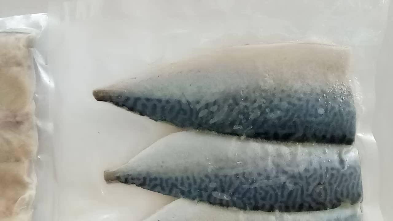 Frozen Pacific Mackerel Butterfly Fish Fillet - Buy Pacific Mackerel ...
