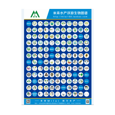 南美白对虾鱼病图谱定制浮游生物