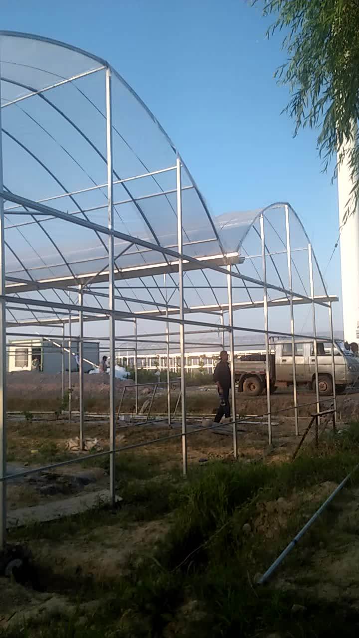 Agriculture Plastic Large Multi Span Greenhouse For Sale - Buy Pe Film ...