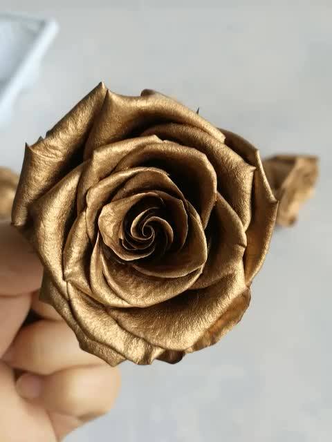 Gold Color Roses Natural Preserved Roses 4-5cm Long Lasting Roses From ...