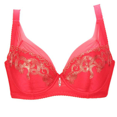 戴芝蒂专柜正品内衣调整型聚拢