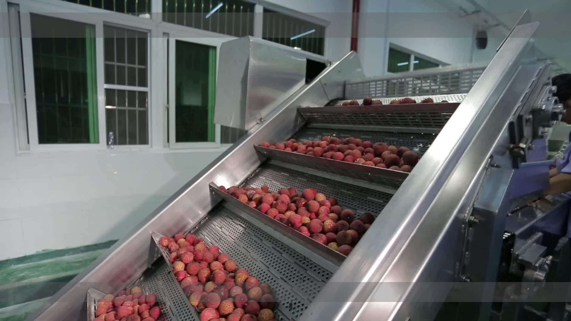 Leading Professional Lychee Fruit Peeling And Pitting Machine For ...