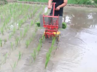 Price Of Manual Rice Paddy Seed Transplanter Planting Machine - Buy ...