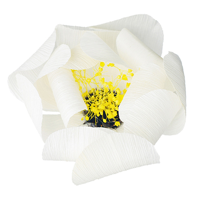 白色北欧风样板间拍照道具干花