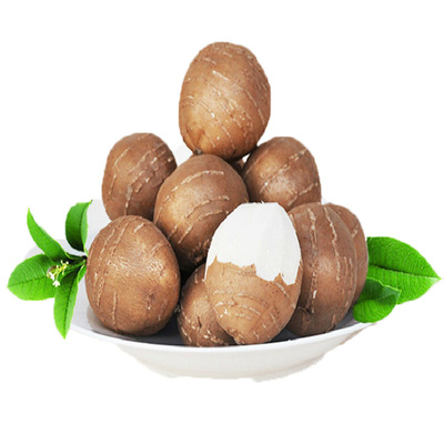 罗汉参香芋参野洋芋香地栗子药材