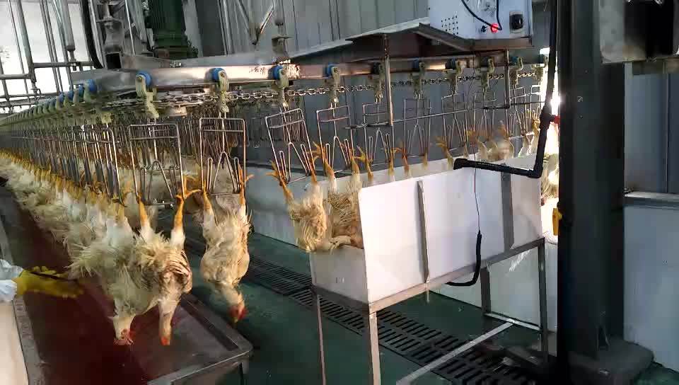 Poultry Slaughterhouse Stunning Equipment Electric Chicken Stunner For ...