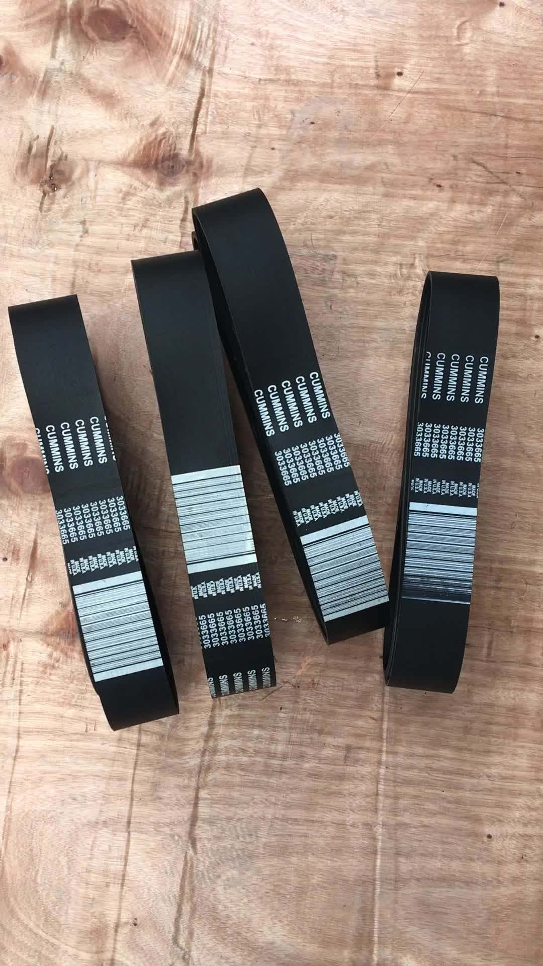 High Quality 4bt 6bt 6ct K19 K38 K50 Qsm11 Nt855 Generator Fan Belt ...