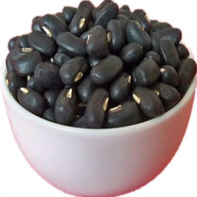 广西马山老品种肾形黑易煮烂一份