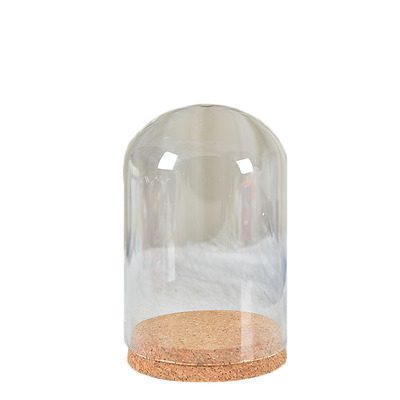 手办盲盒防尘罩永生花木塞玻璃瓶