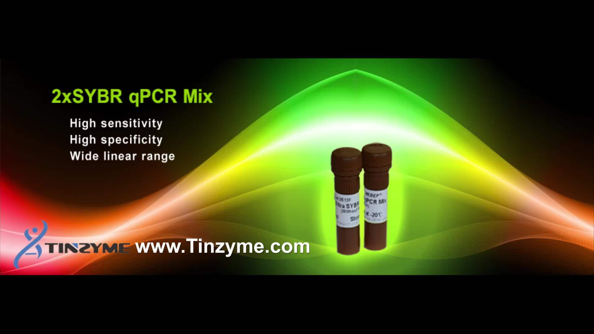 2xsybr Qpcr Master Mix With Seperate Rox - Buy Sybr Mix,Cyber Mix,Qpcr ...