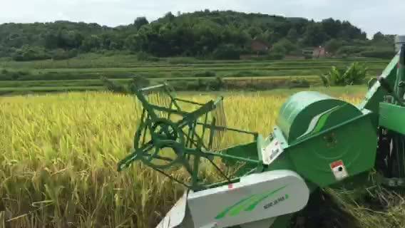 Paddy Field Farm Machine Rice Harvesting Equipment - Buy Rice ...