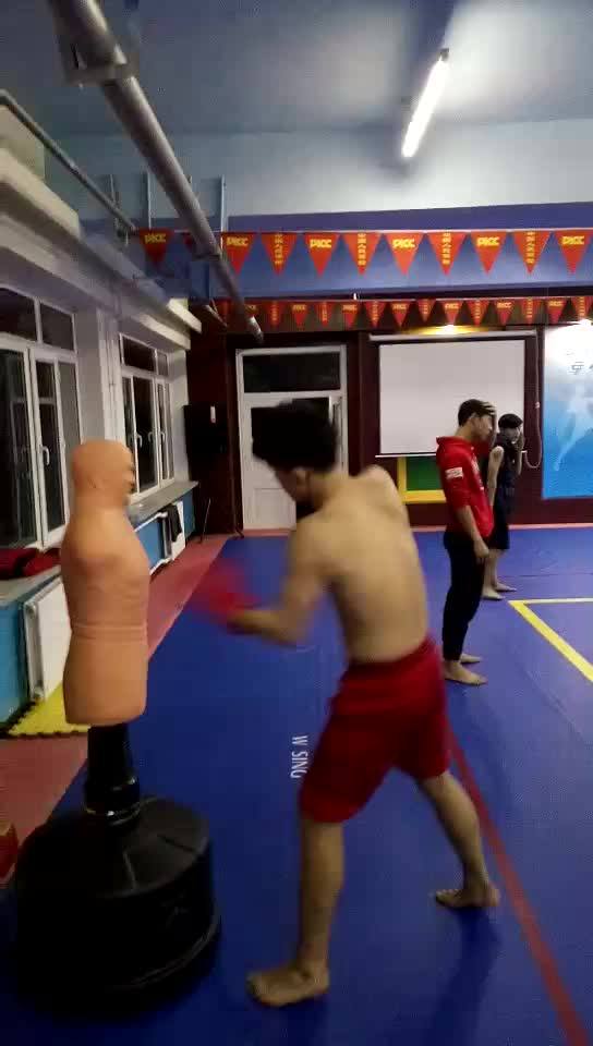 Adjustable Martial Arts Human Dummy Boxing Heavy Bag Stand Free ...