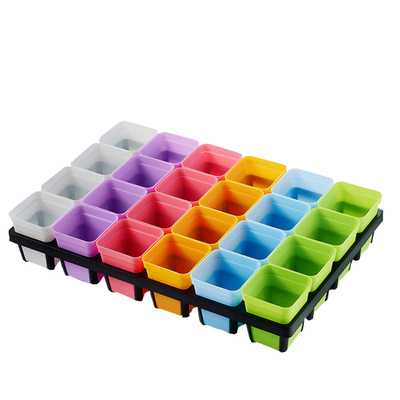 肉锥种植盆托盘生石花