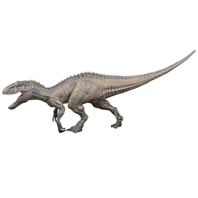 林畅模玩暴虐霸王龙模型仿真恐龙