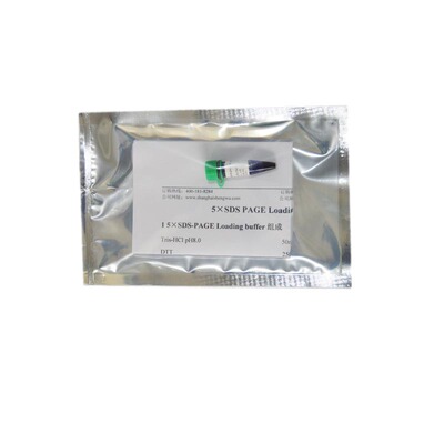 蛋白电泳 5×SDS-PAGE Loading buffer 1×1ml REBIO R07013