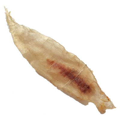 赤嘴花胶兴字头一号鳘鱼胶鳘鱼鳔