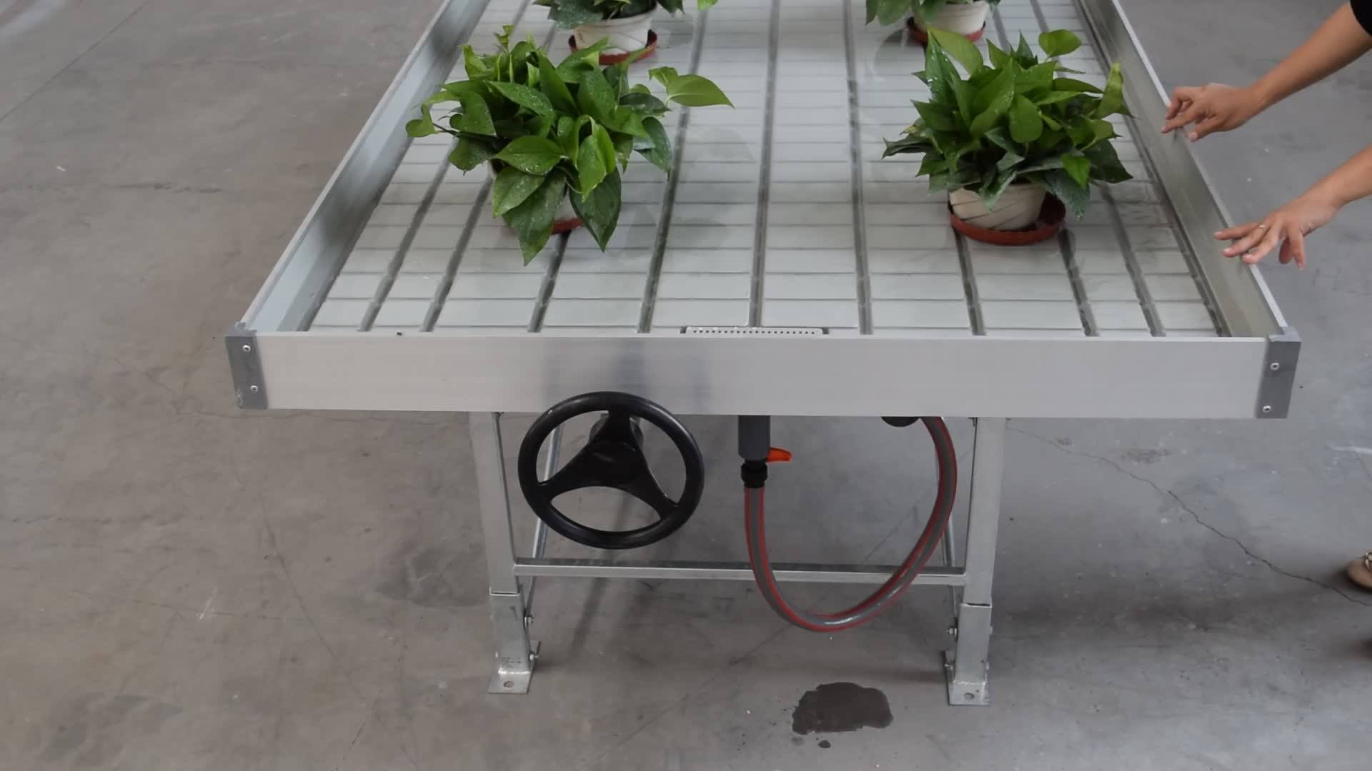 Hydroponic Tray Systems