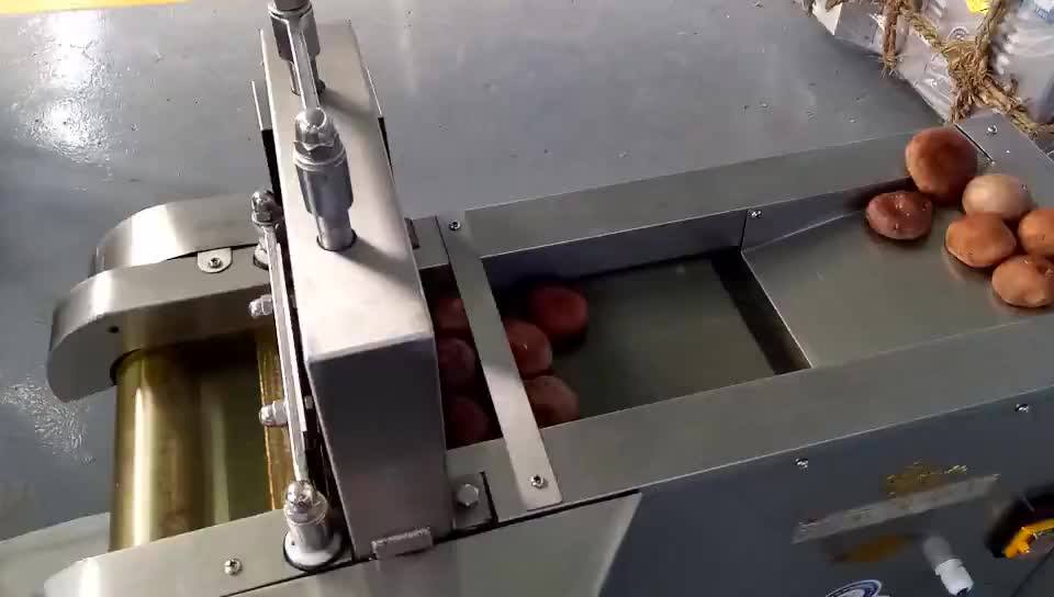 Leaf Vegetable Spinach Cutting Machine Leafy Vegetable Cutter Electric ...