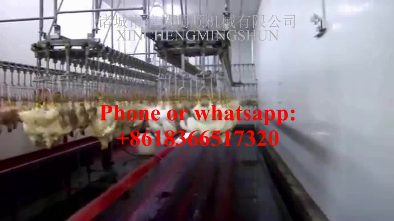 Poultry Slaughter Killing Conveyor Line / Chicken Evisceration Line ...