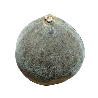 正宗散装化州橘红性价比高1斤